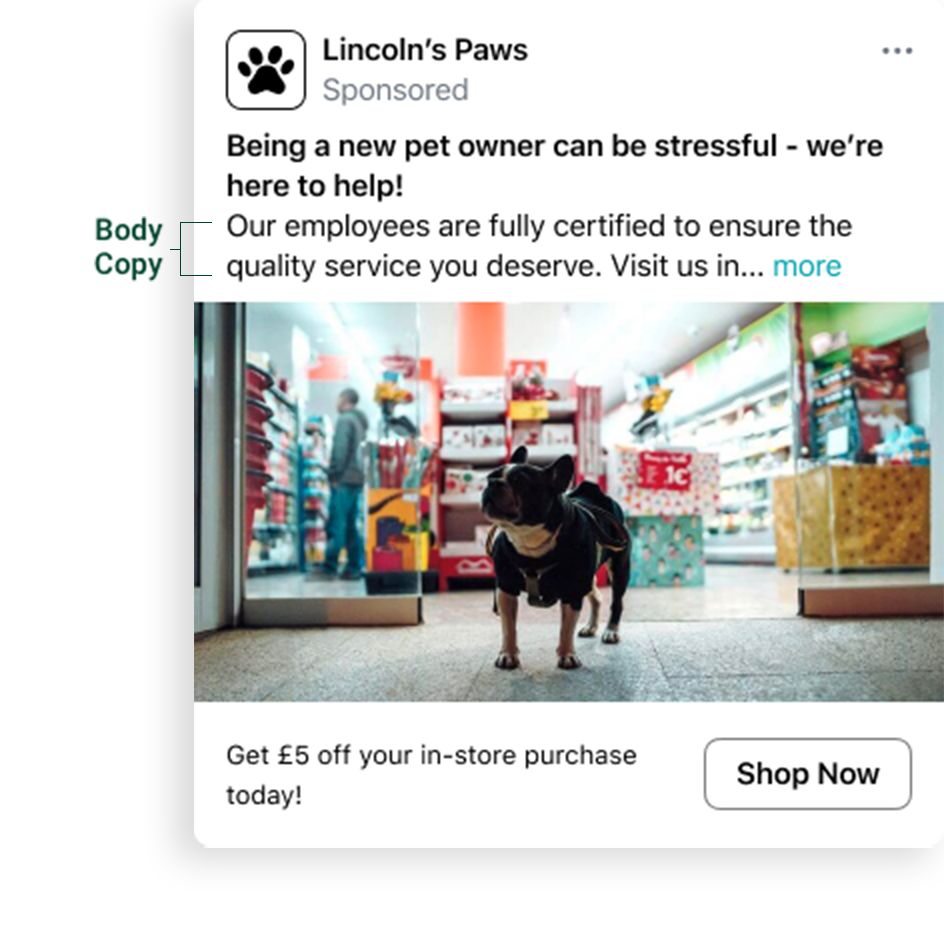 Creative Specs & Guidelines | Nextdoor Advertising